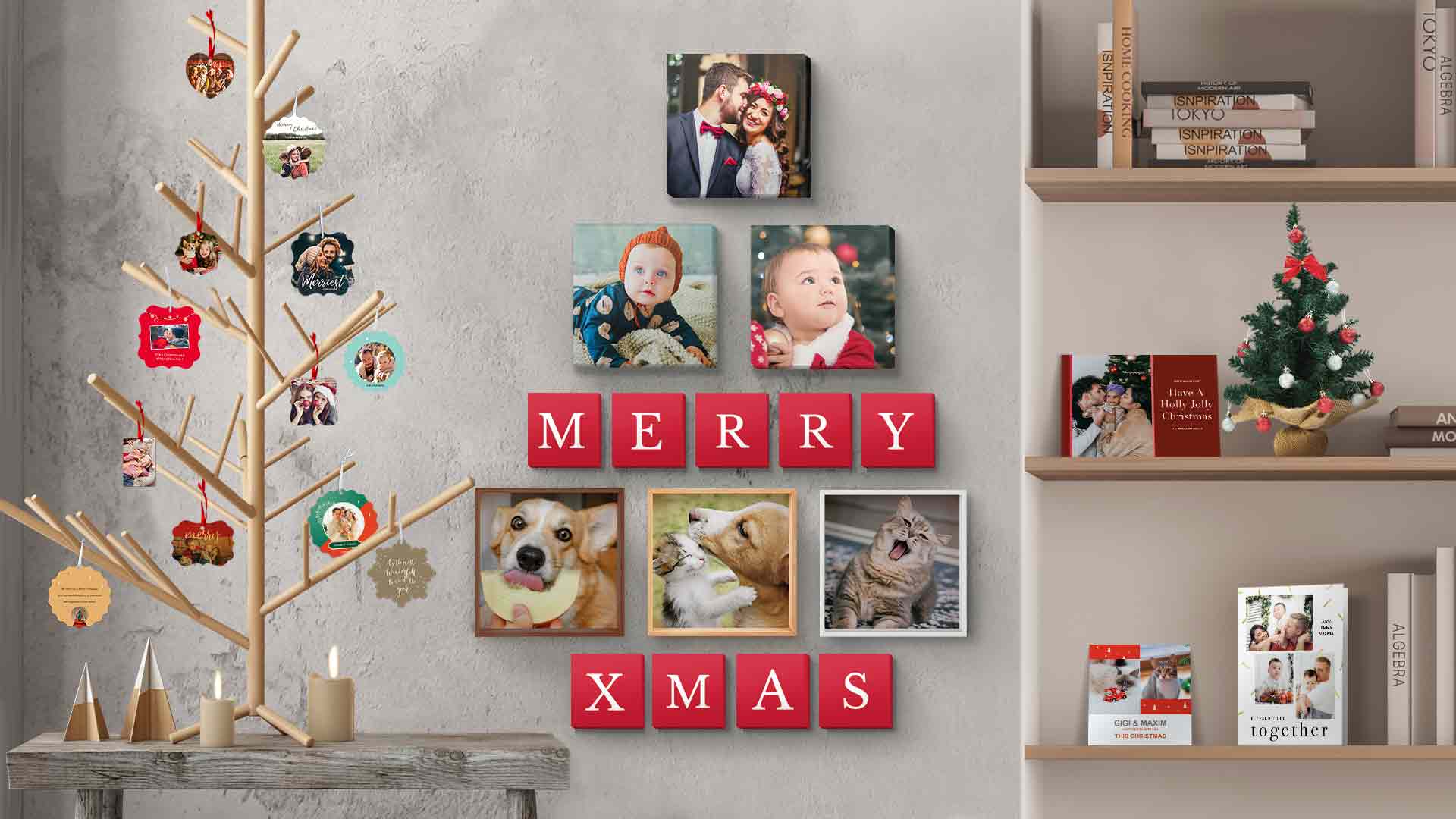 Early Bird Christmas Sale